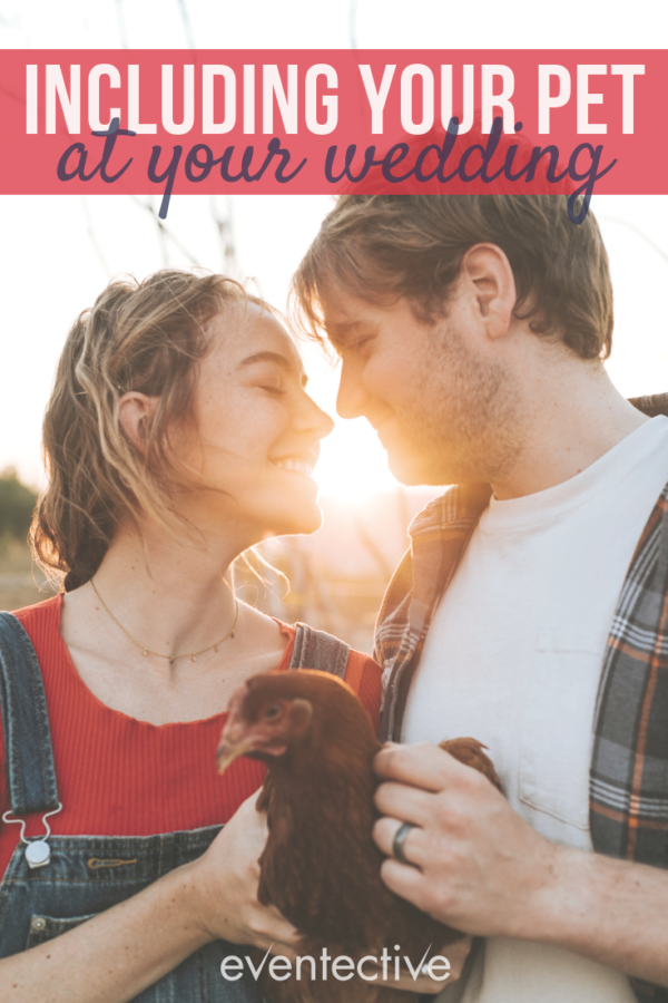 Including Your Pet in Your Wedding – Cheers and Confetti Blog by ...