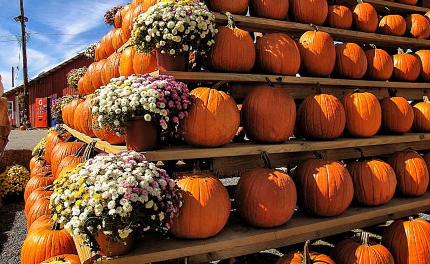 Event Style – Cheers and Confetti Blog by Eventective